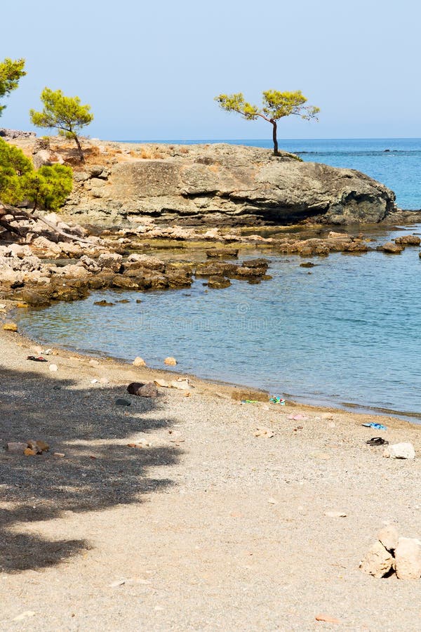 Pine Tree in See Turkey Europe Stock Image - Image of cloud, rock: 71039569