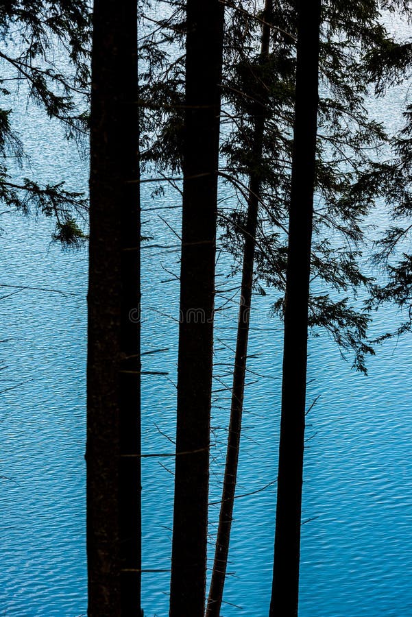 Reflection, Water Reflection, Blue, Mountains, Pine Tree. Stock Image ...