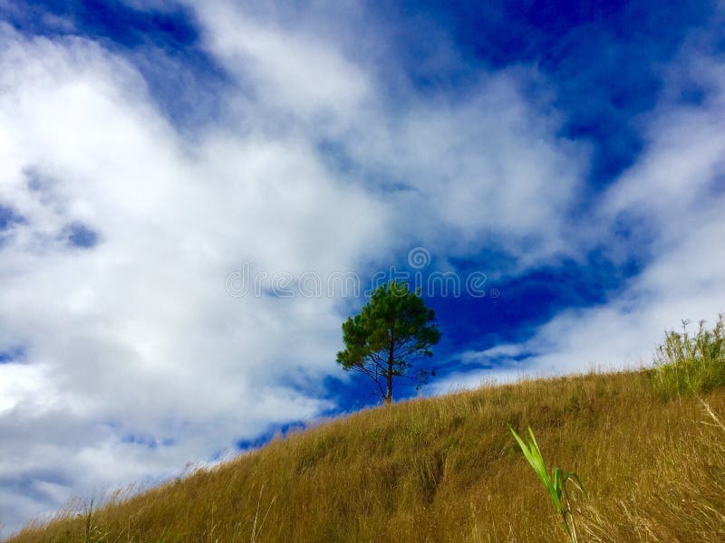 Mount Ulap, Mt Ulap, Cordilleras Philippines, Sunrise at Dawn, Ampucao ...