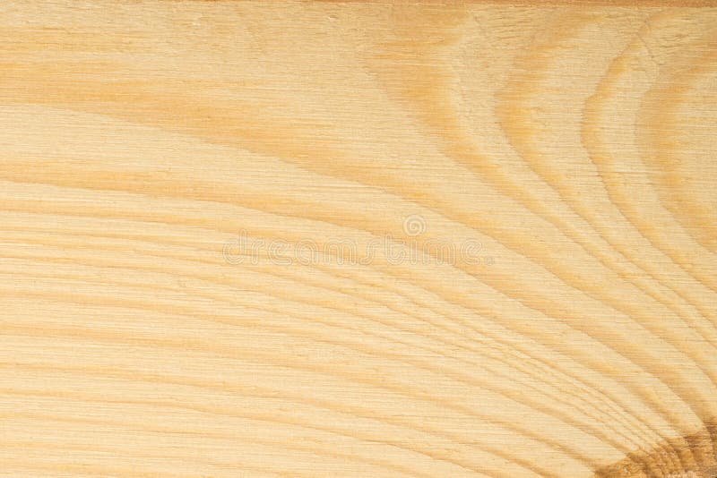 Pine Tree Texture. Light Wood, Natural Pattern Stock Photo - Image of ...