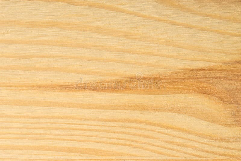 Pine Tree Texture. Wood Background, Natural Pattern Stock Image - Image ...