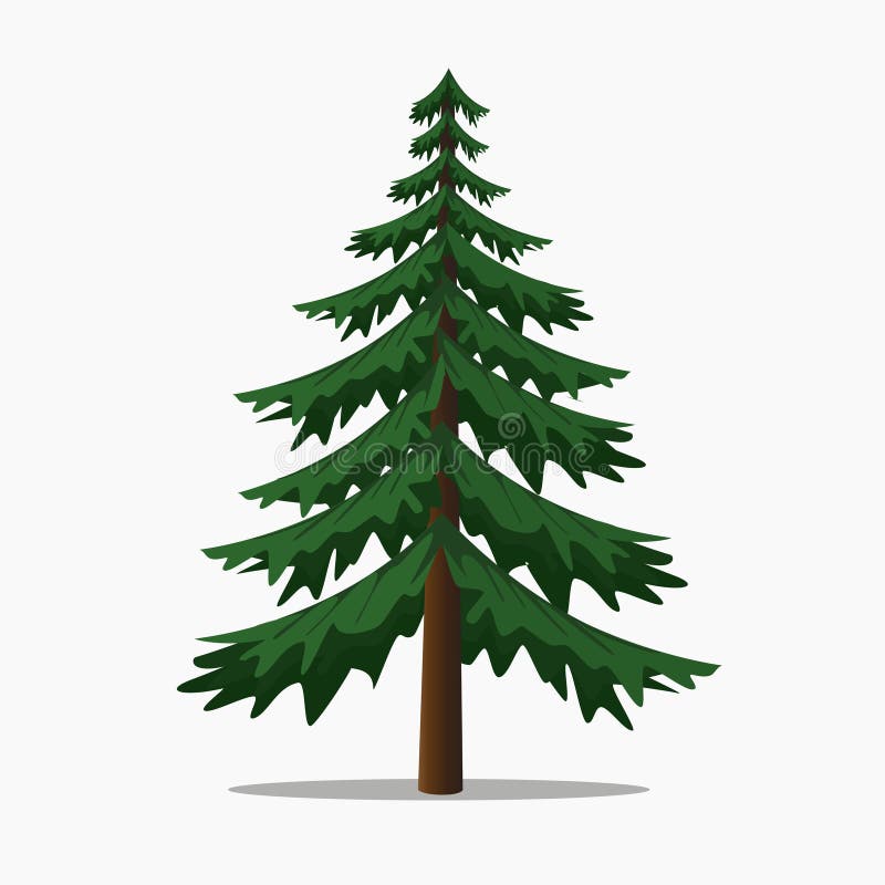Pine Tree Vector Illustration. Big Fir. Stock Vector - Illustration of ...