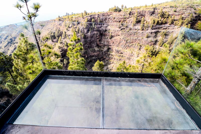 Pine Tree View stock image. Image of view, looking, wood - 326681503