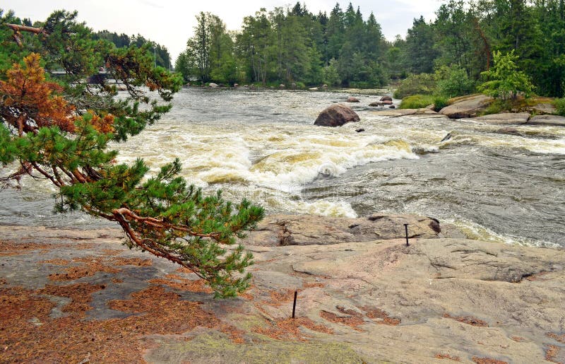 Pine Tree and Waterfall Landscape Stock Photo - Image of stream, tide ...