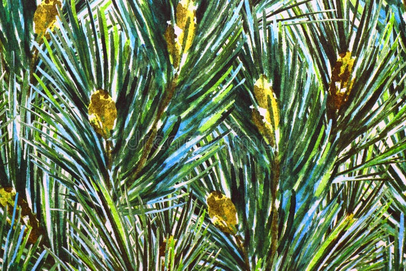 Pine Tree Wrapping Paper Close Up Stock Image - Image of tree, abstract ...