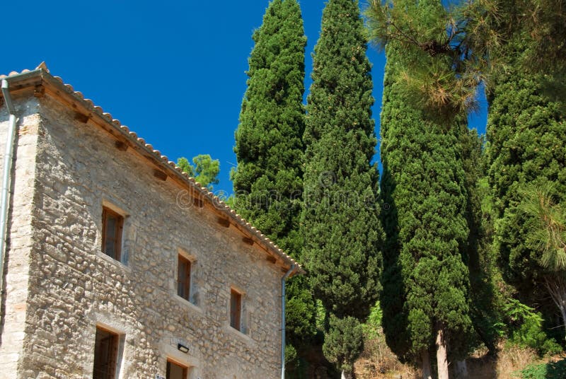 Pine Trees stock photo. Image of stone, rustic, greek - 11325442