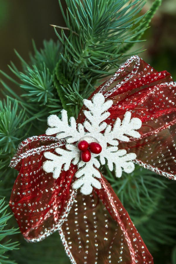 Pine Trees stock image. Image of evergreen, celebration - 37753891