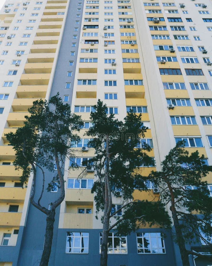 Pine Trees on the Background of a Residential Building Stock Photo ...