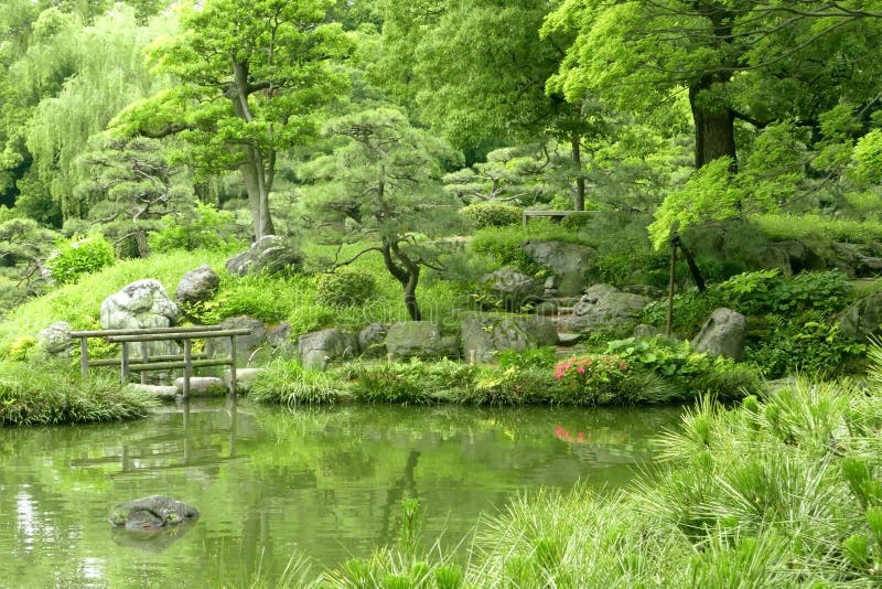 Pine Trees, Bridge with Reflection in Japanese Zen Garden Stock Photo ...