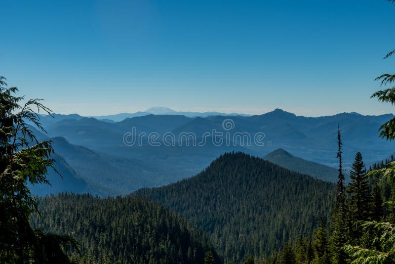 Pine Trees Cover Mountain Range Below Mount St Helens Stock Image ...