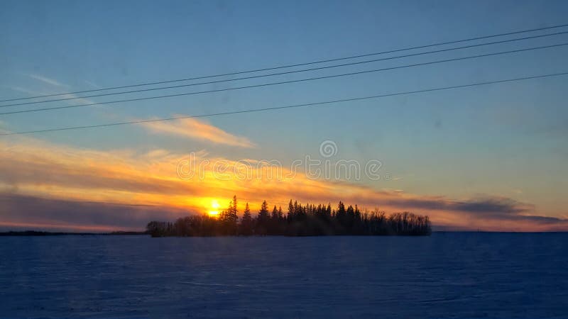 Pine Trees Dawn Sunset Orange Winter Prairies Stock Image - Image of ...