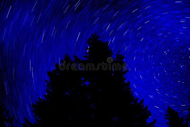 Pine Trees Forest Night Time Star Trails Light Stock Photo - Image of ...