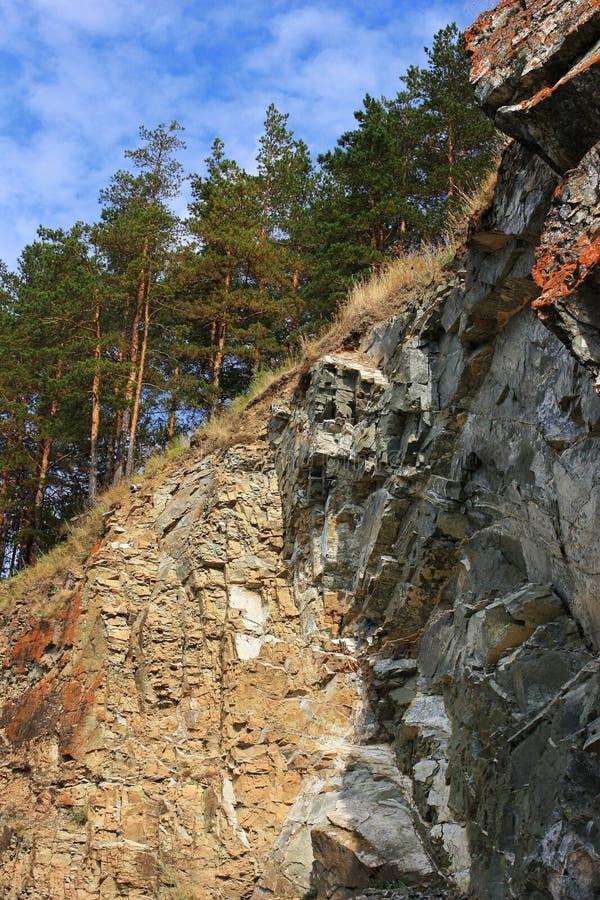 Pines Grow on the Side of a Stone Cliff Stock Image - Image of horizon ...