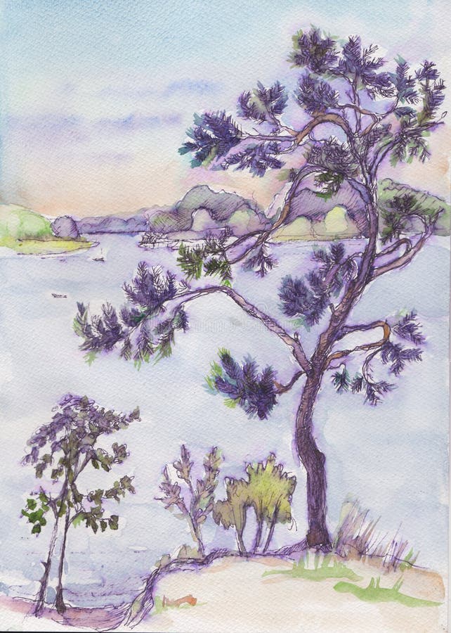 Pine Trees on the High Bank of the River Stock Illustration ...