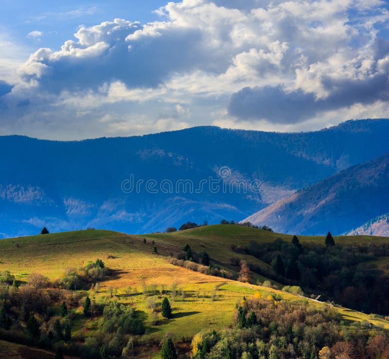Pine Trees Near Valley in Mountains on Hillside Stock Photo - Image of ...