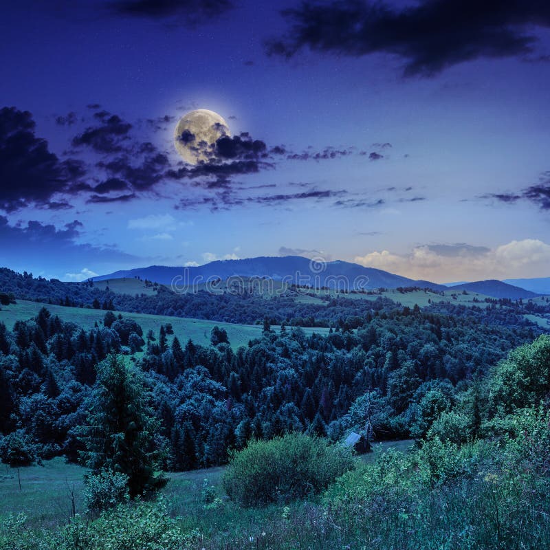 Pine Trees Near Valley in Mountains on Hillside at Night Stock Photo ...