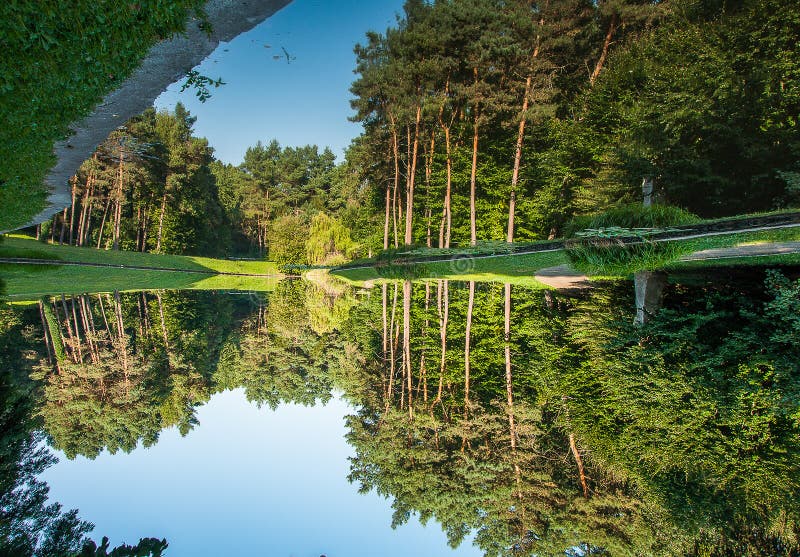 Pine Trees. Reflection in Water Stock Image - Image of outdoor, blue ...