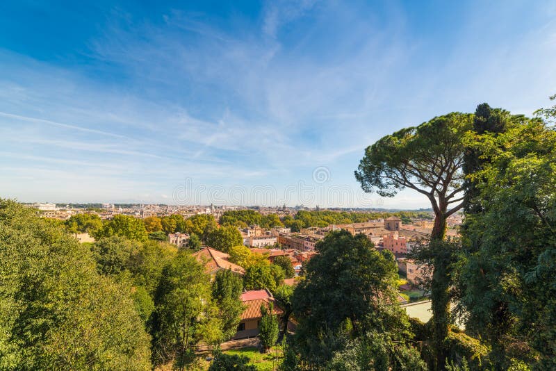 Pine trees in Rome stock photo. Image of international - 106157278