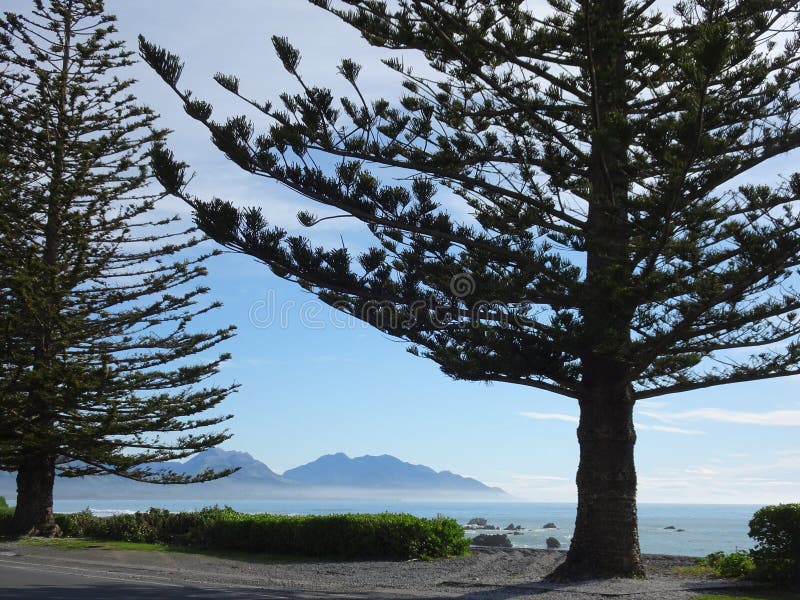 Pine Trees on the Shore with Mountains Stock Photo - Image of sunlight ...