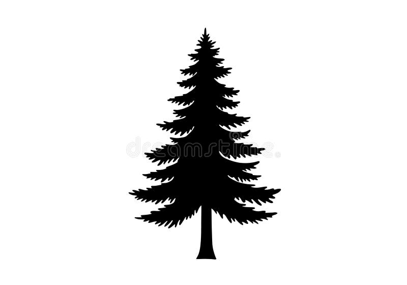 Evergreen Trees Clipart Black White Stock Photos - Free & Royalty-Free ...