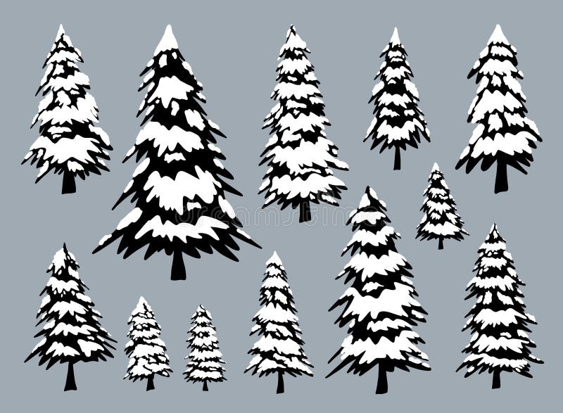Silhouette of Fir or Pine Trees on White Background Vector Illustration ... Silhouette of Fir or Pine Trees on White Background Vector Illustration ...