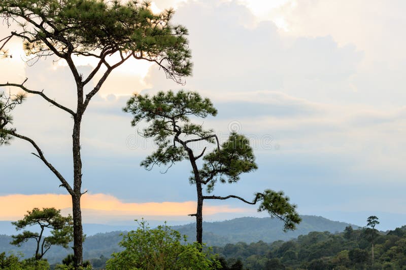 Misty hills of Scotland stock image. Image of lake, quiraing - 30795495