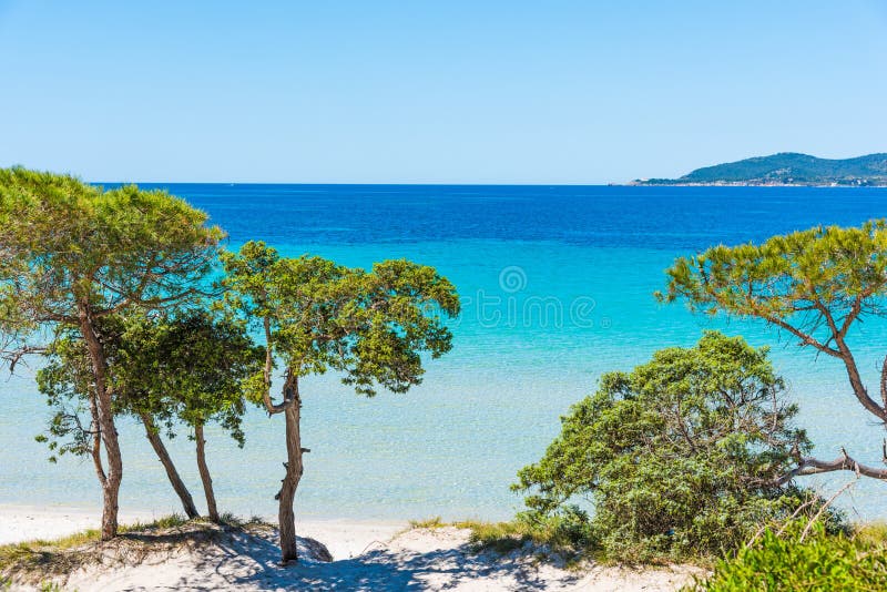 Pine Trees and Turquoise Water in Alghero Stock Image - Image of water ...