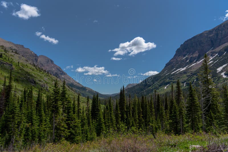 Pine Trees in the Valley between Montana Mountains Stock Photo - Image ...