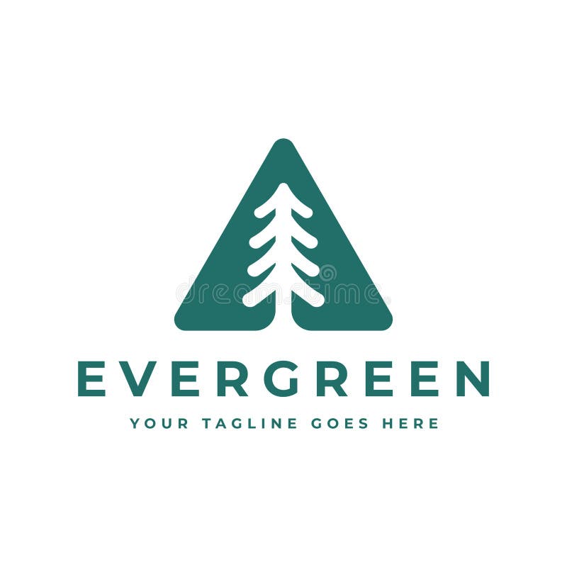 Pine Triangle Pine Spruce Hemlock Pine Conifer Cedar Conifer Spruce ...