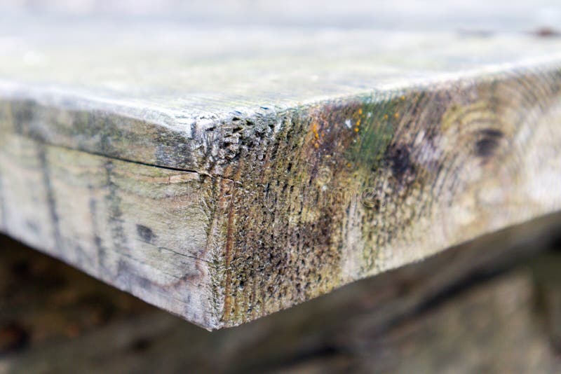Pine Wood Board with Wood Structure in Green Weathered Wood Color Stock ...