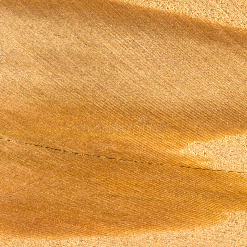 Pine Wood, Can Be Used As Background, Wood Grain Texture Stock Photo ...