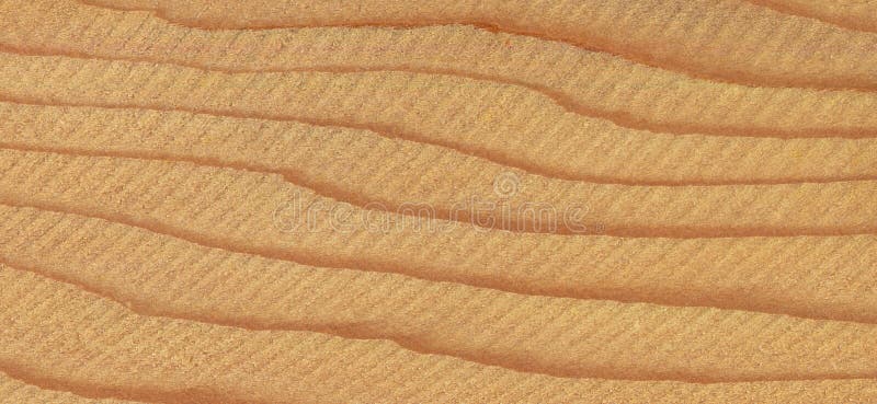 Pine Wood, Can Be Used As Background, Wood Grain Texture Stock Image ...