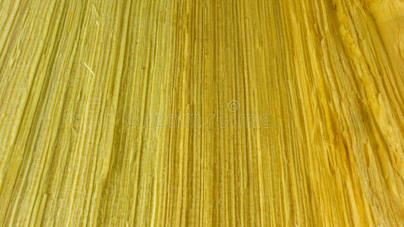 Pine wood fresh sawn stock photo. Image of grain, textured - 85951384
