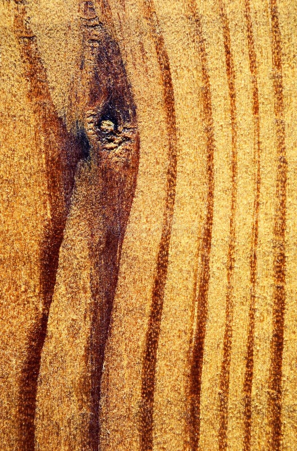 Pine wood texture stock image. Image of trunk, vertical - 23125211