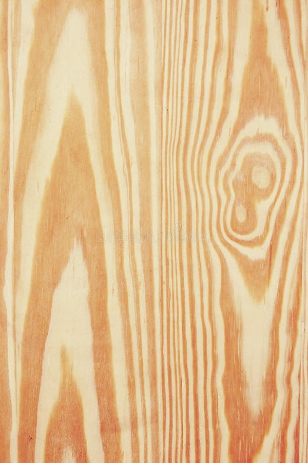 Swamp Ash Wood Grain