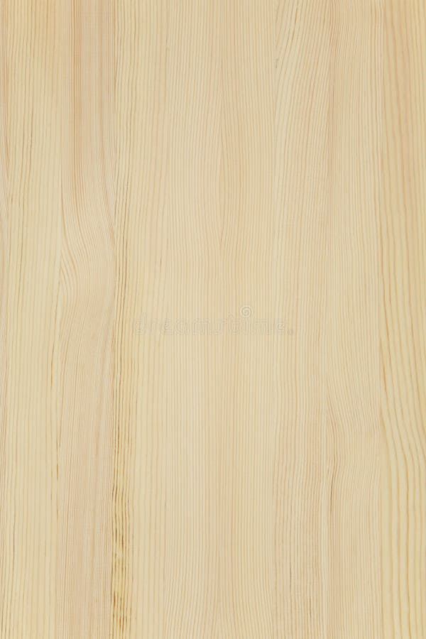 Pine wood texture stock photo. Image of pine, panel - 122433384