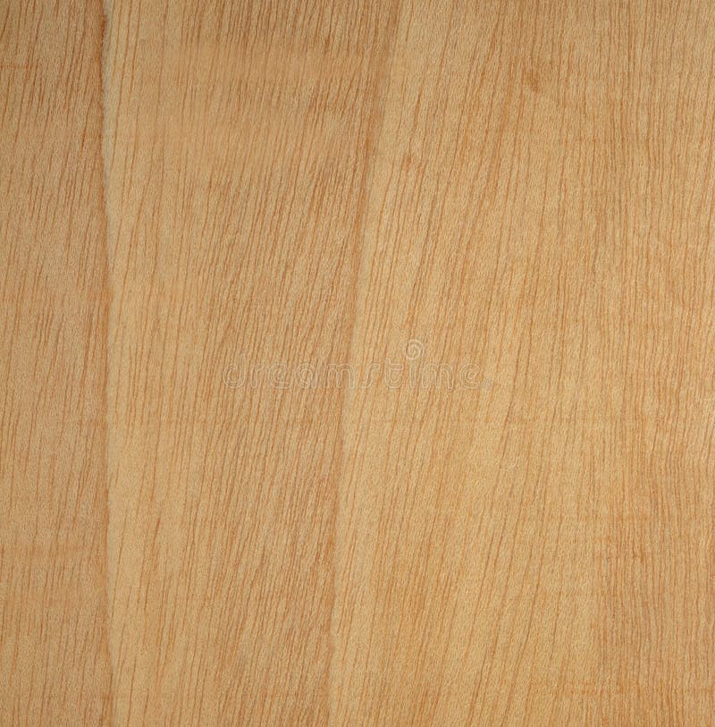 Pine wood texture macro stock photo. Image of high, natural - 4267092