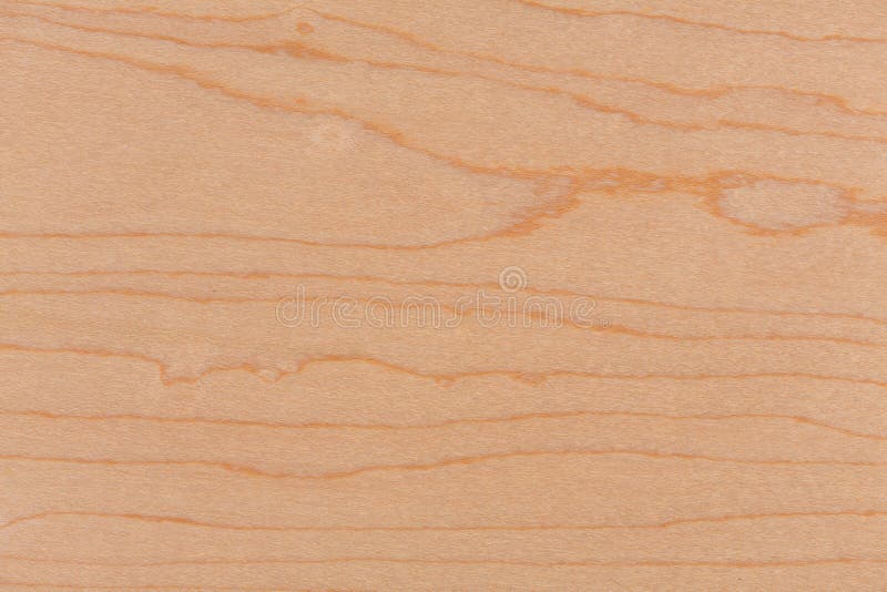Pine Wood Texture with Natural Pattern. Stock Image - Image of interior ...