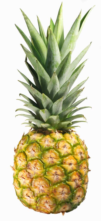 Pineapple isolated stock photo. Image of juicy, color - 3035098