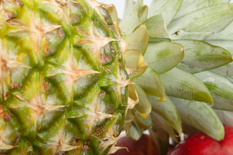 Pineapple texture stock photo. Image of outside, texture - 9579940