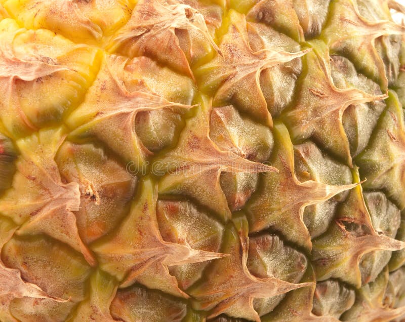 Pineapple stock image. Image of yellow, macro, food, pineapple - 14466787