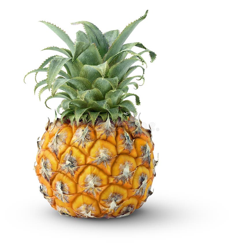 Pineapple stock image. Image of chunk, packaging, ripe - 15799711