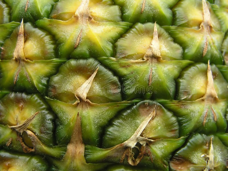 Pineapple chunks stock image. Image of tropic, fruit, fresh - 4869107