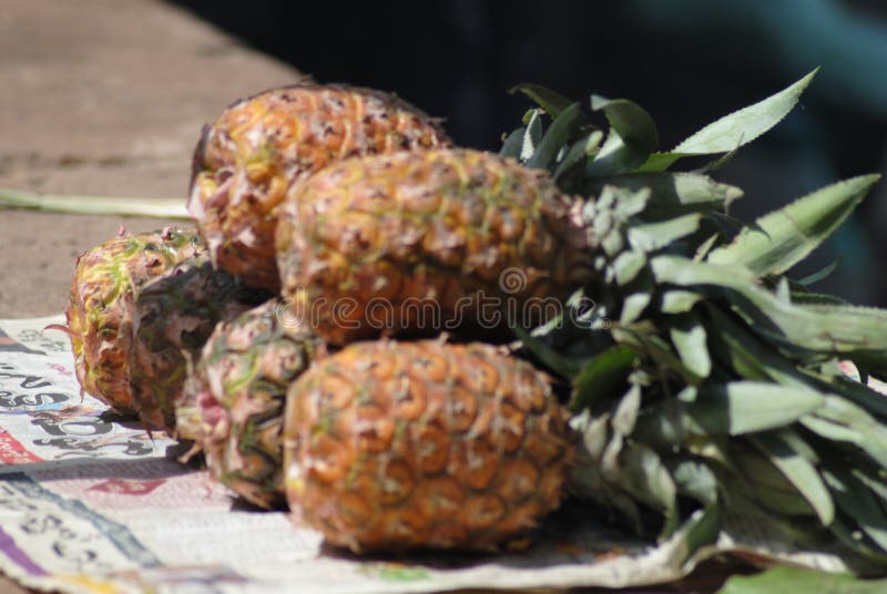 Pineapple ðŸ Shoot with Picnic Spot Stock Image - Image of grand, spot ...