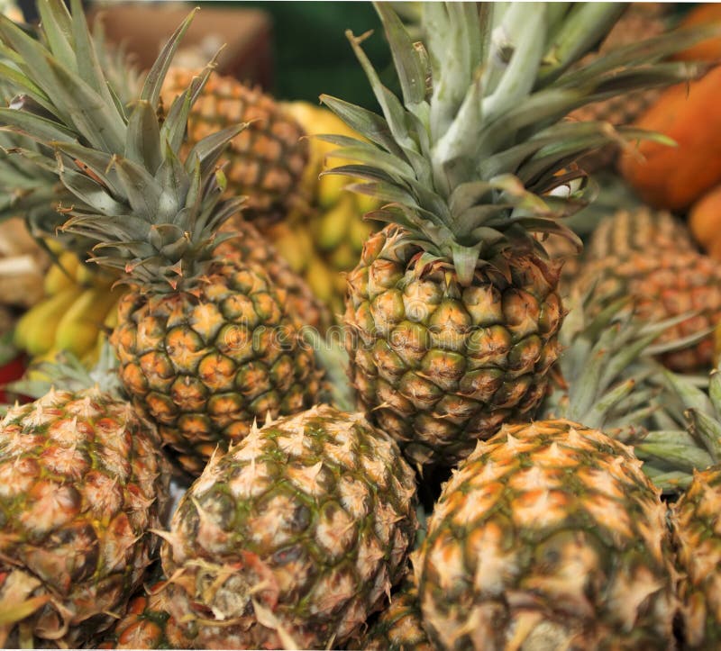 Pineapple in market stock photo. Image of pineapple, sweet - 20062894