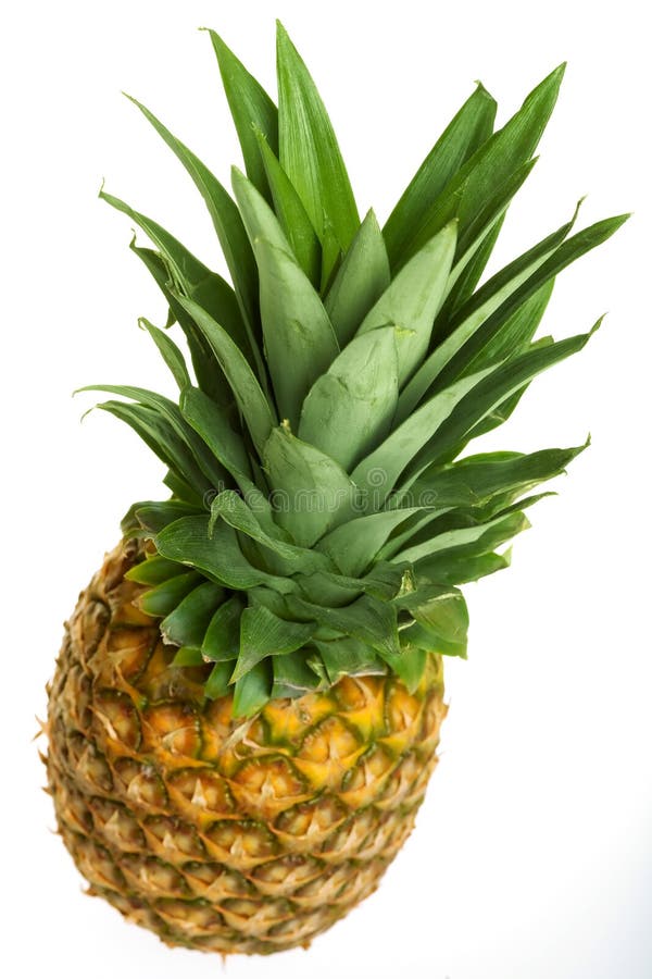Pineapple 6 stock photo. Image of refreshment, object - 2253700