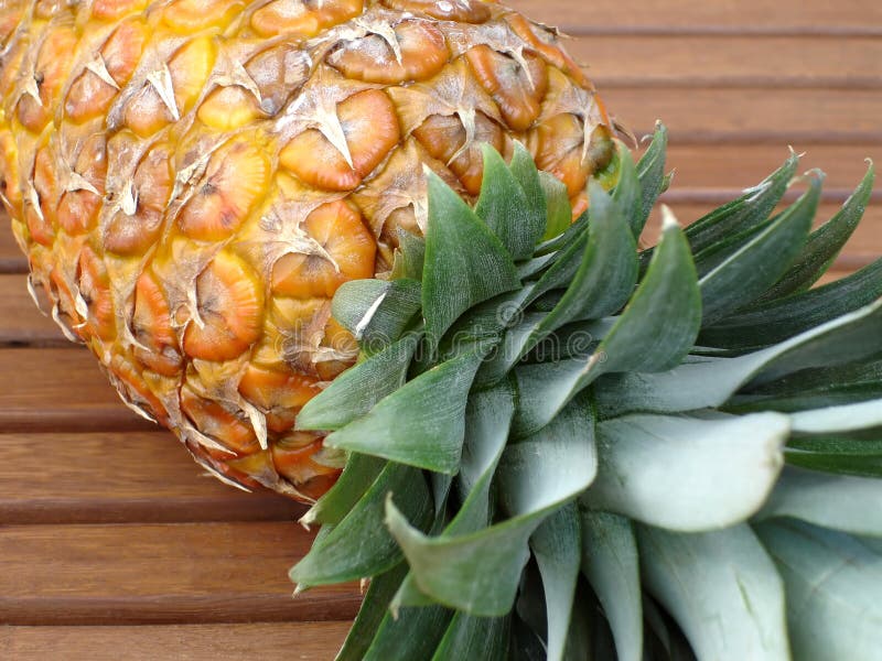 704 Pineapple Structure Stock Photos - Free & Royalty-Free Stock Photos ...