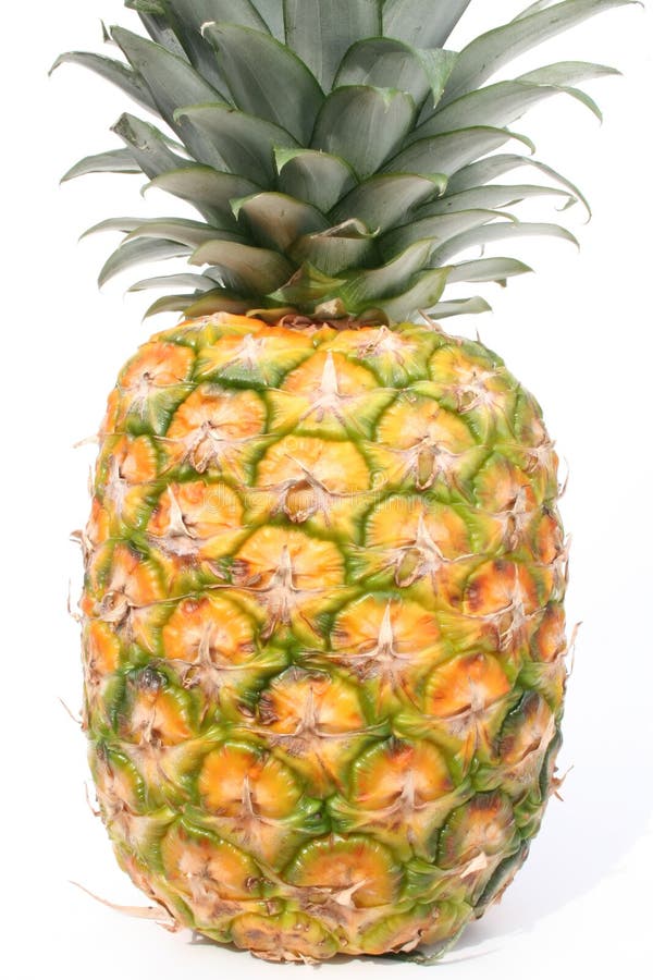 1,148 Pineapple Crown Stock Photos - Free & Royalty-Free Stock Photos ...