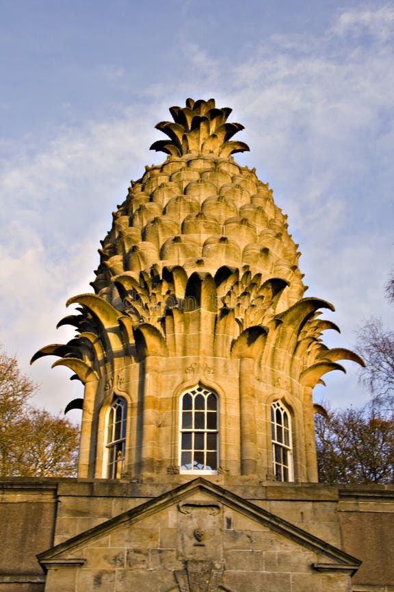 The Pineapple stock photo. Image of structure, pineapple - 7114712