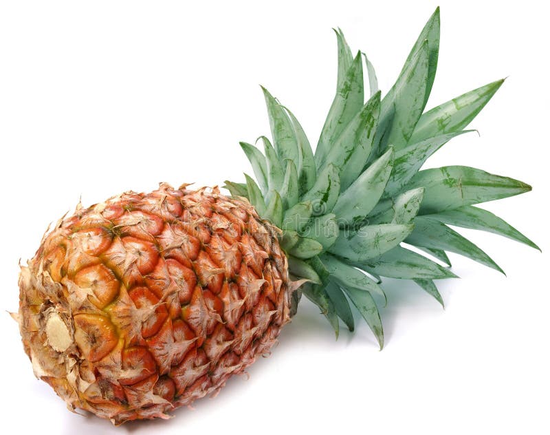Pineapple stock photo. Image of eating, orange, isolated - 3573080